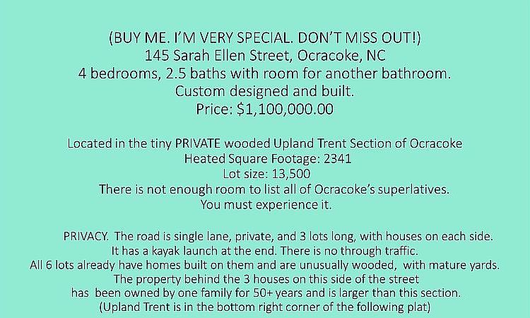 145 Sarah Ellen St, Ocracoke, NC 27960 | Zillow