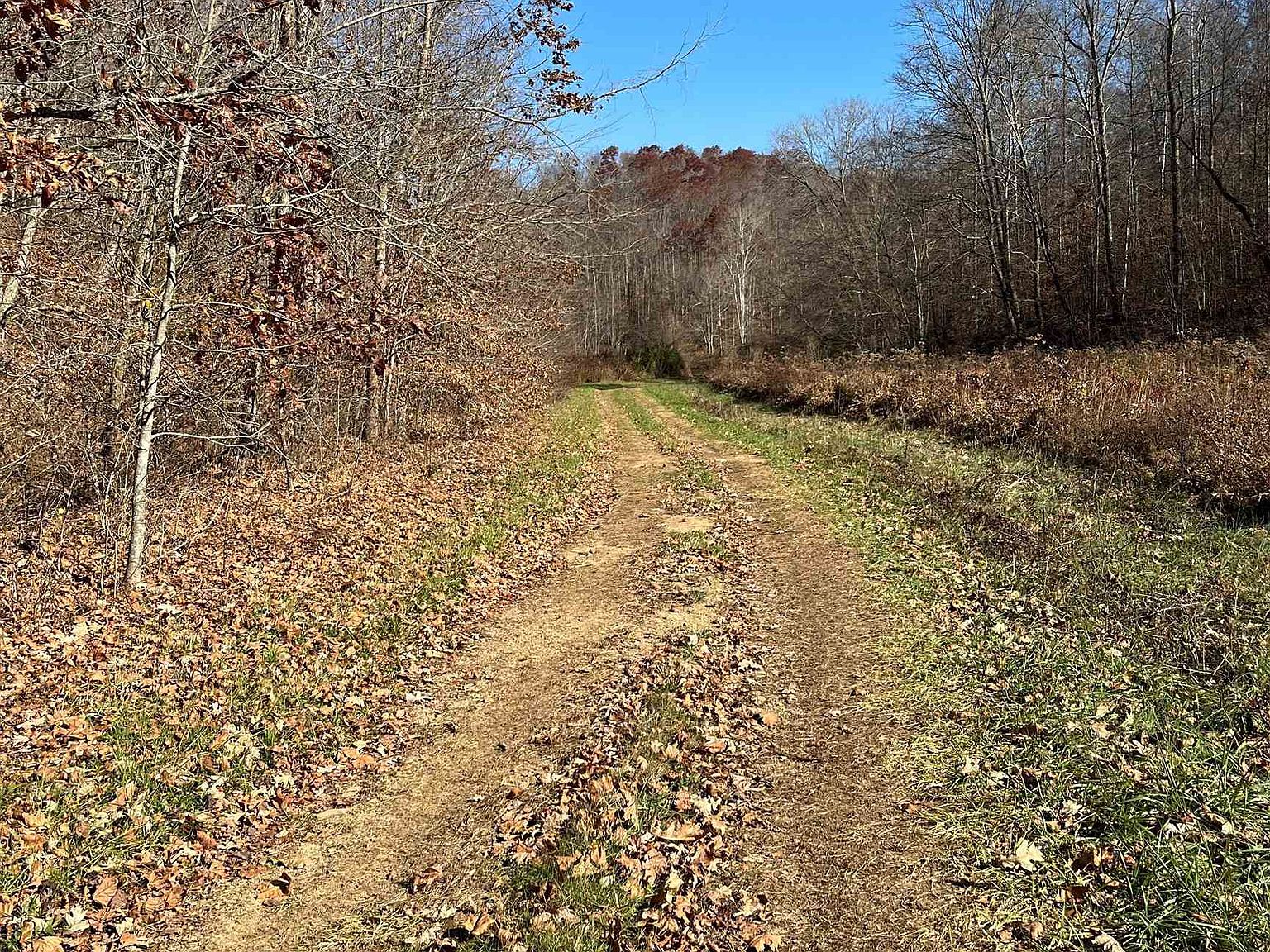 0 Sugar Tree Branch Rd, Wallingford, KY 41093 | Zillow