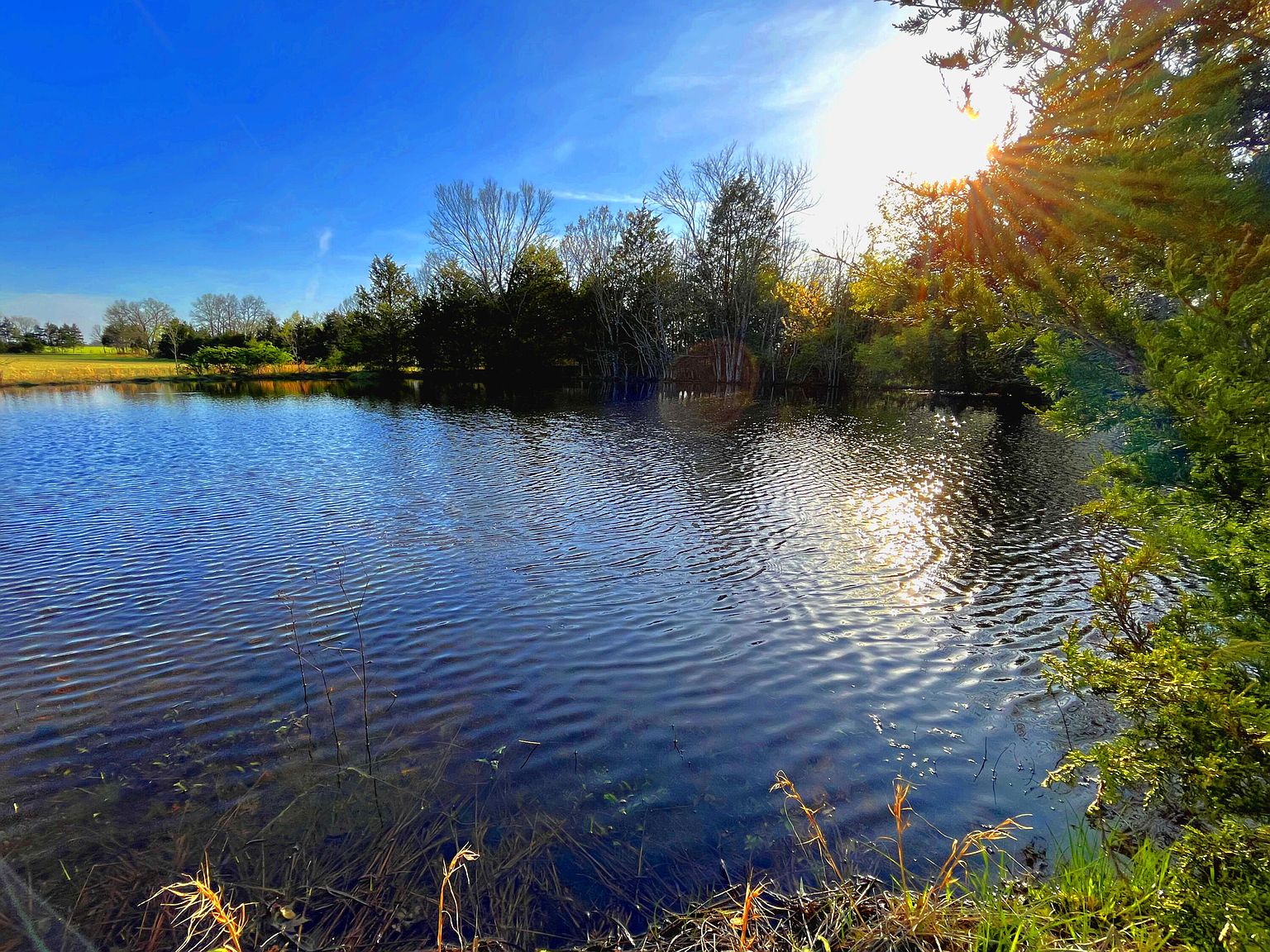 Tbd 002 State Highway 14, Bruner, MO 65620 | MLS #60292527 | Zillow