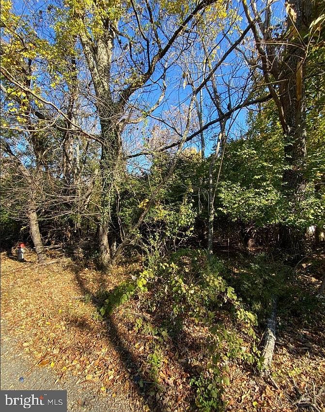 8354 Judy Witt Ln, Vienna, VA 22182 | MLS #VAFX2233216 | Zillow