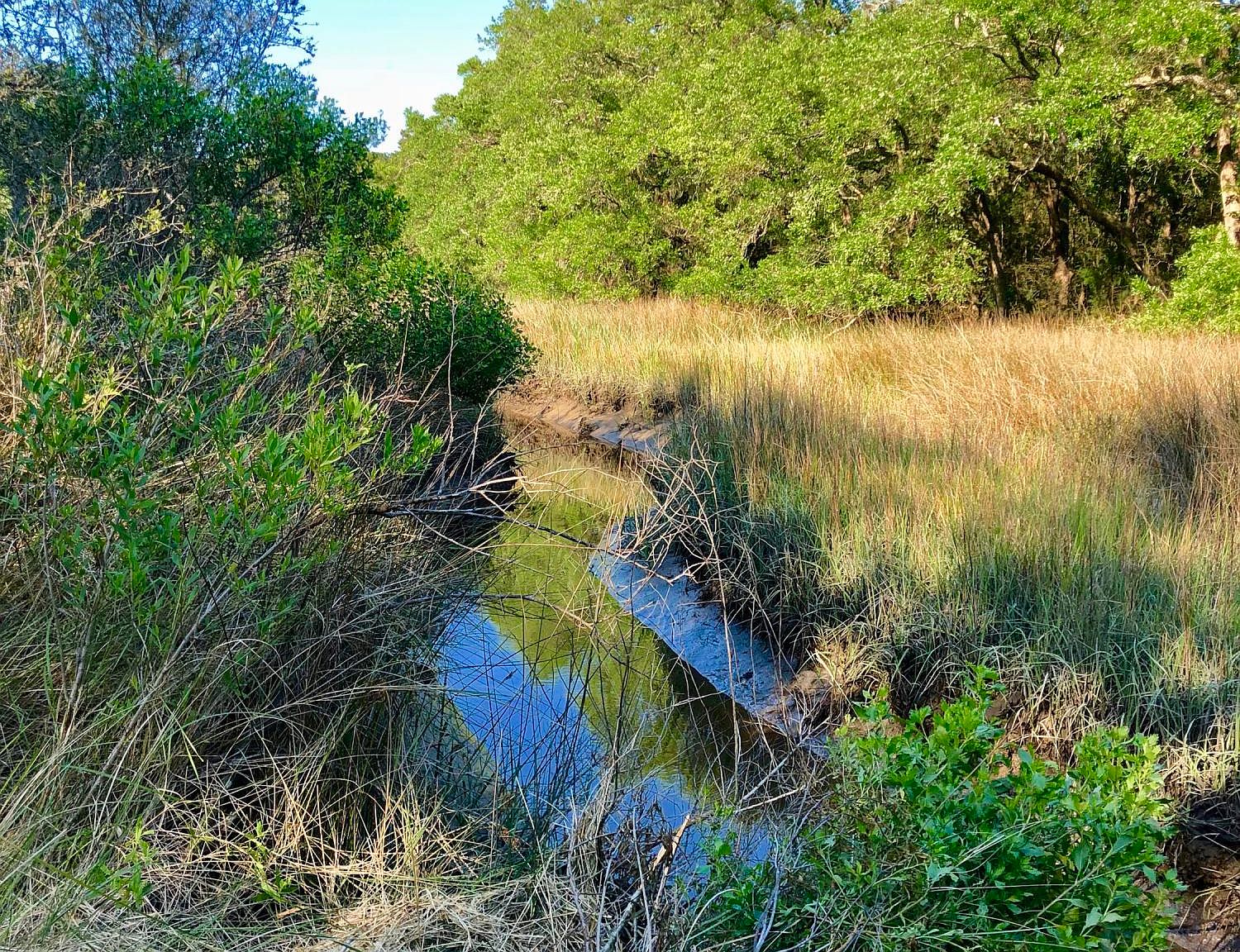 15014 Bennetts Point Rd, Green Pond, SC 29446 | Zillow