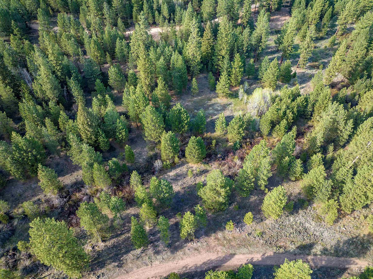 31 Trail Creek Ct, Placerville, ID 83666 | MLS #98948516 | Zillow