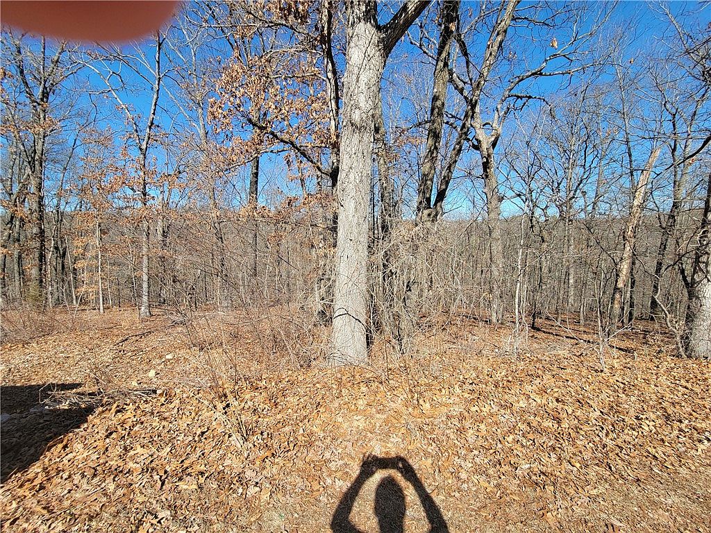 19 Bingley Ln, Bella Vista, AR 72714 | Zillow