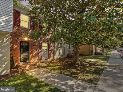 Keri Shull - Real Estate Agent in Arlington, VA - Reviews | Zillow