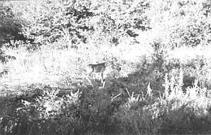 Gran Tara, Afton, OK 74331 | Zillow