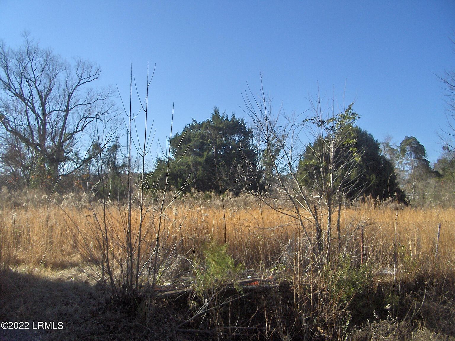 Barwick Ln, Barnwell, SC 29812 | MLS #151456 | Zillow