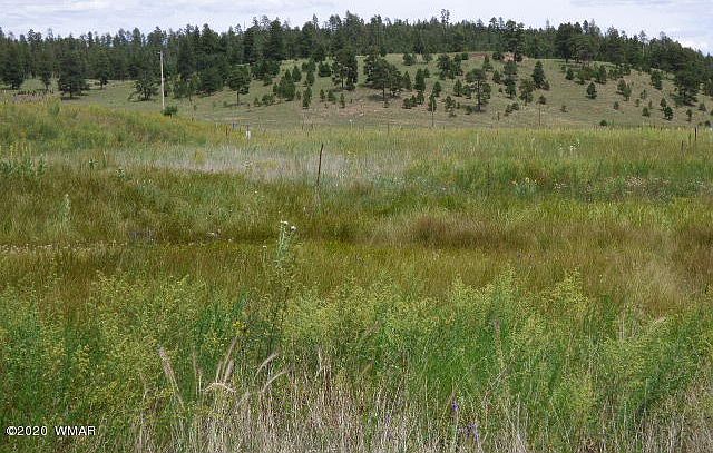 LOT 34 The Ranch At Alpine, Alpine, AZ 85920 | Zillow