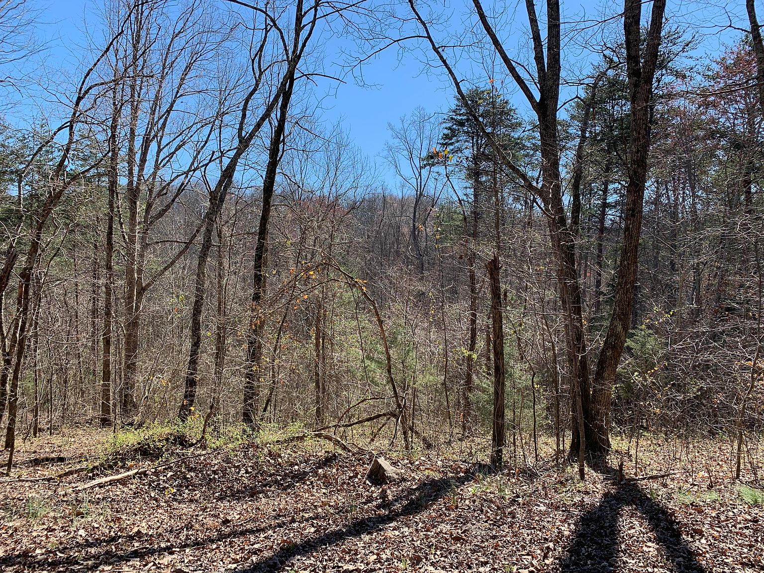 Loftis Hill Rd, Englewood, TN 37329 | Zillow