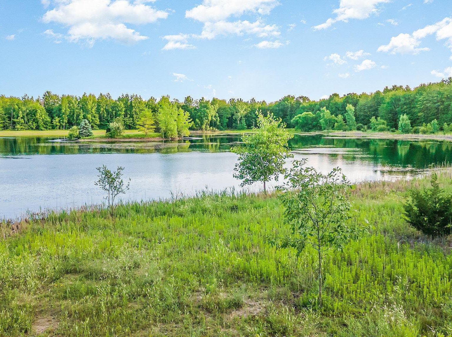 Swan Creek Rd LOT 1, Hemlock, MI 48626 | Zillow