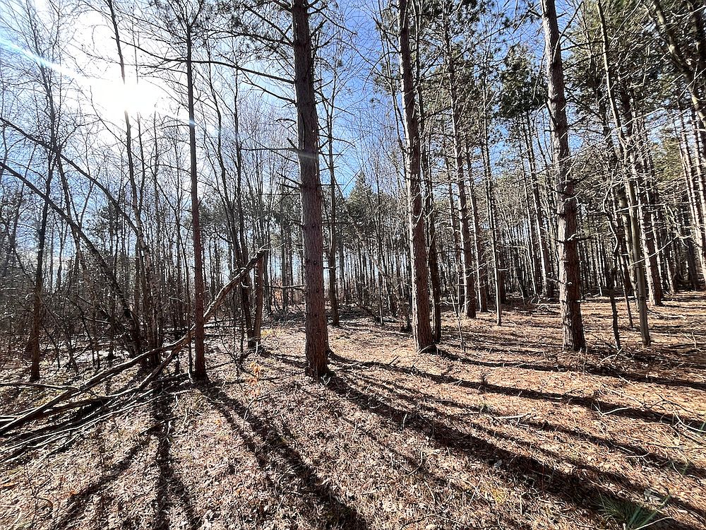 Wp02 Nys Rte #37, Theresa, NY 13691 | Zillow