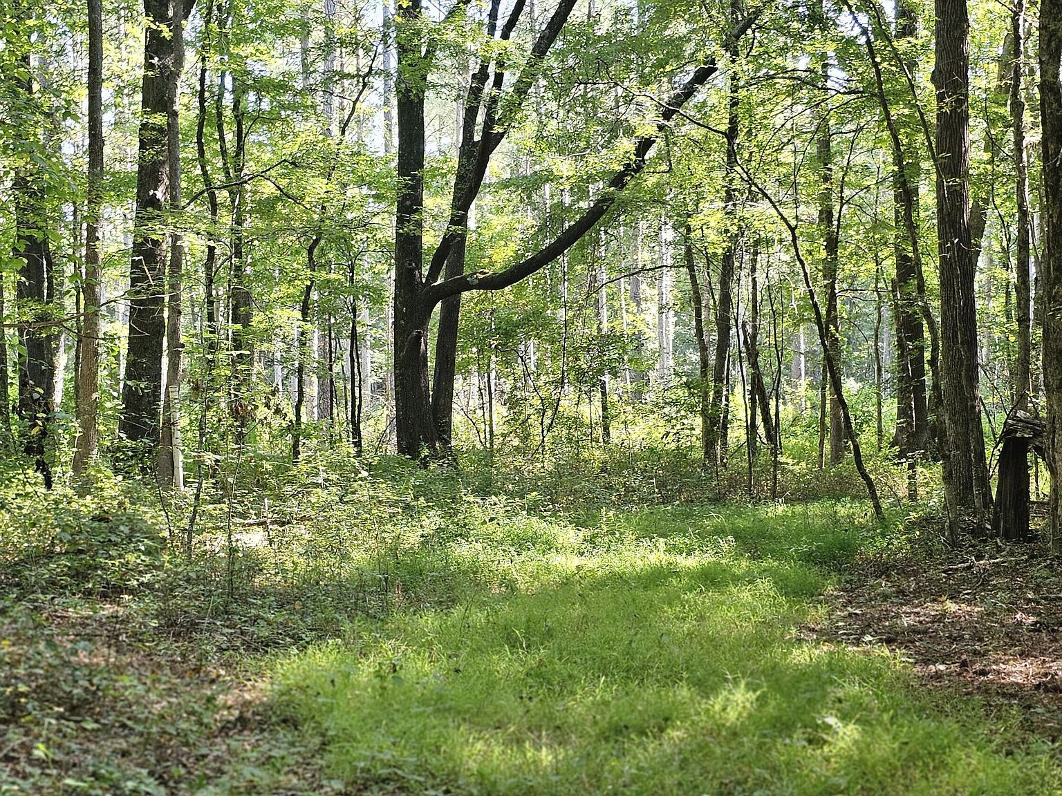 87 County Rd, Vaiden, MS 39176 | MLS #4089660 | Zillow