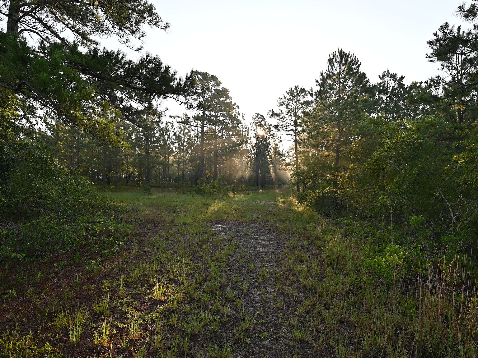 State Highway 242, Fayetteville, NC 28312 | MLS #11193237 | Zillow