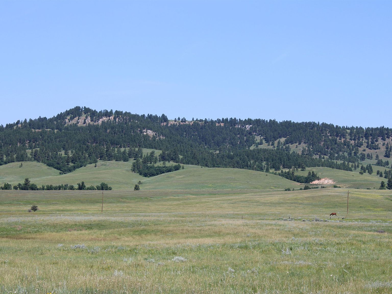 TRACT 5 Old Sundance Rd, Sundance, WY 82729 | MLS #79295 | Zillow