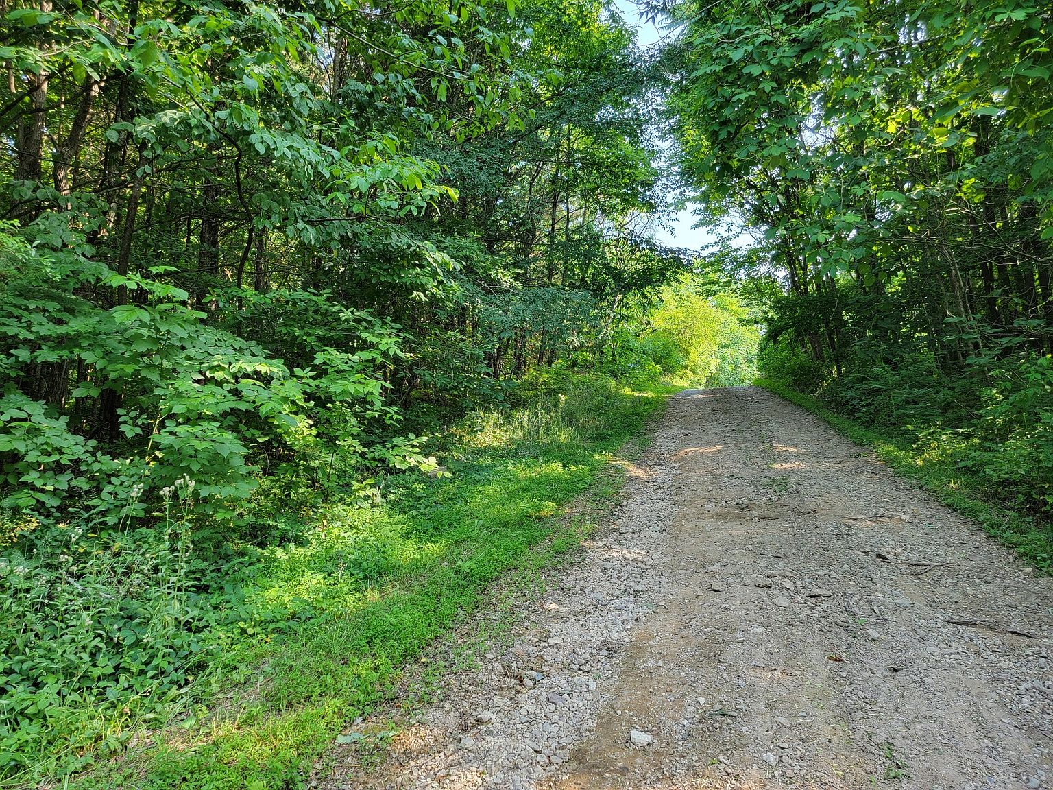 56 Ella West Cir, Lynnville, TN 38472 | Zillow