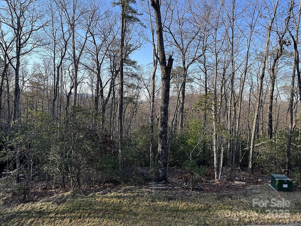 0 Turtle Ridge Trl, Mills River, NC 28759 | MLS #4254233 | Zillow