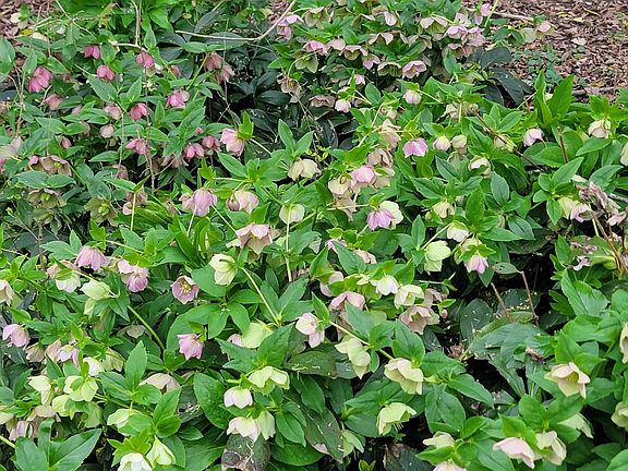 393 Bremo Bluff Rd, Bremo Bluff, VA 23022 | Zillow