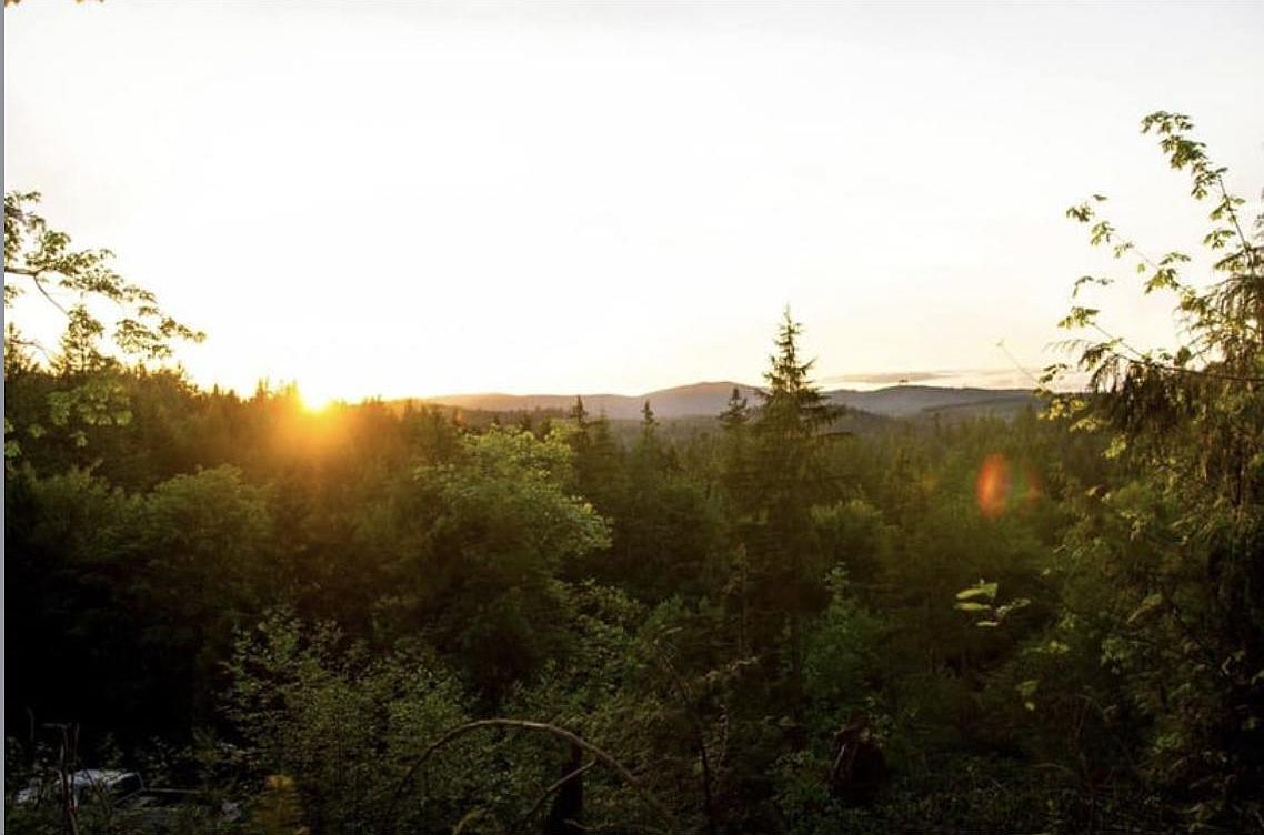 1240 Partridge Dr NW, Olympia, WA 98502 | Zillow