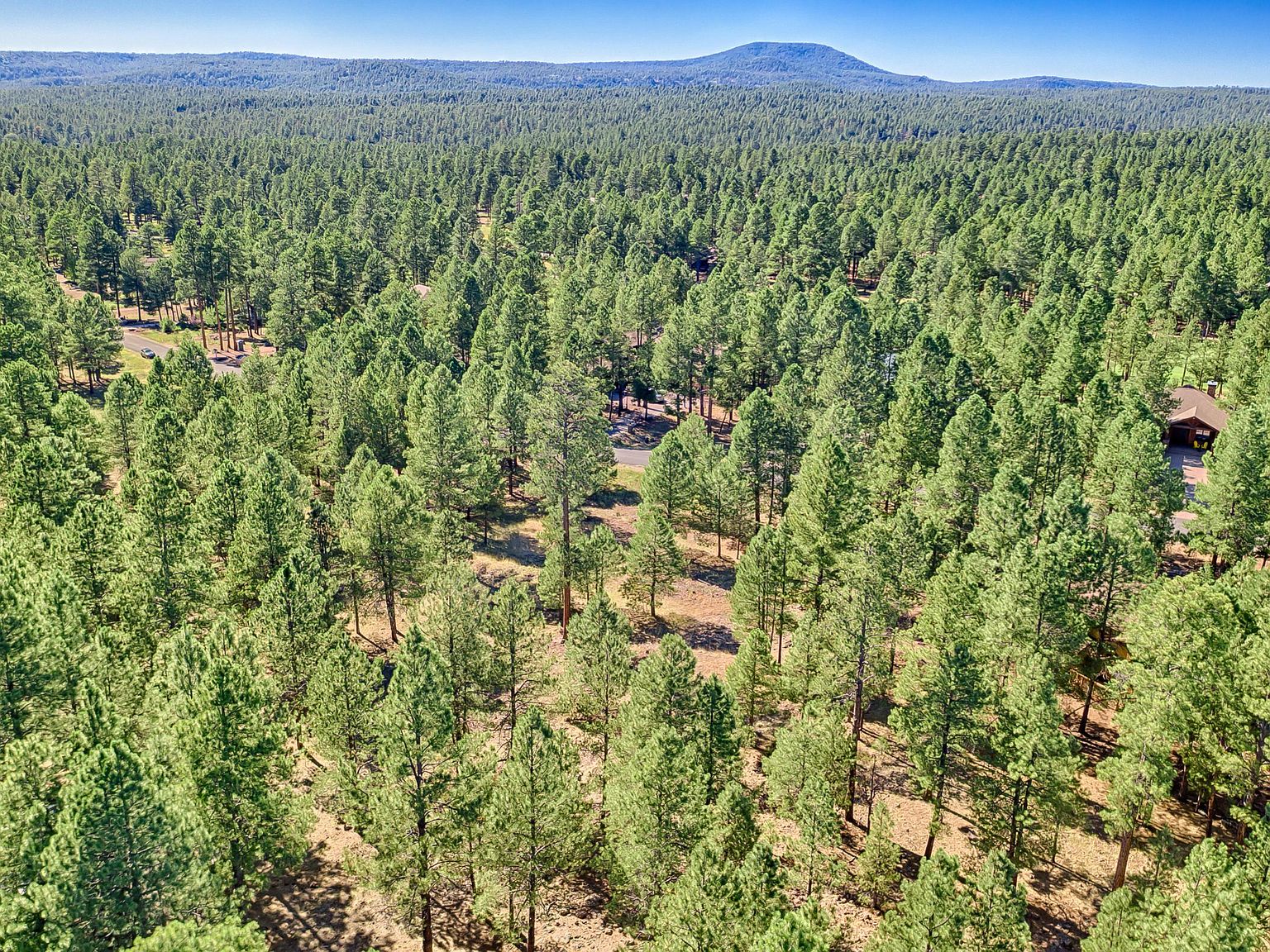 2077 Bessie Kidd Best, Flagstaff, AZ 86005 | Zillow