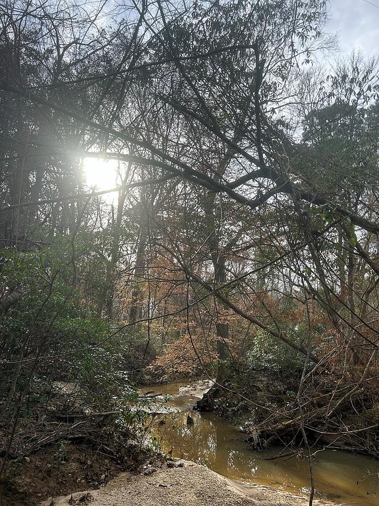 0 Mose Hilliard Rd, Sontag, MS 39665 | Zillow