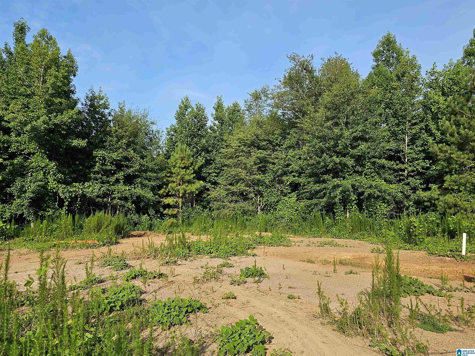 560 County Road 129 #1823093100, Ranburne, AL 36273 | Zillow