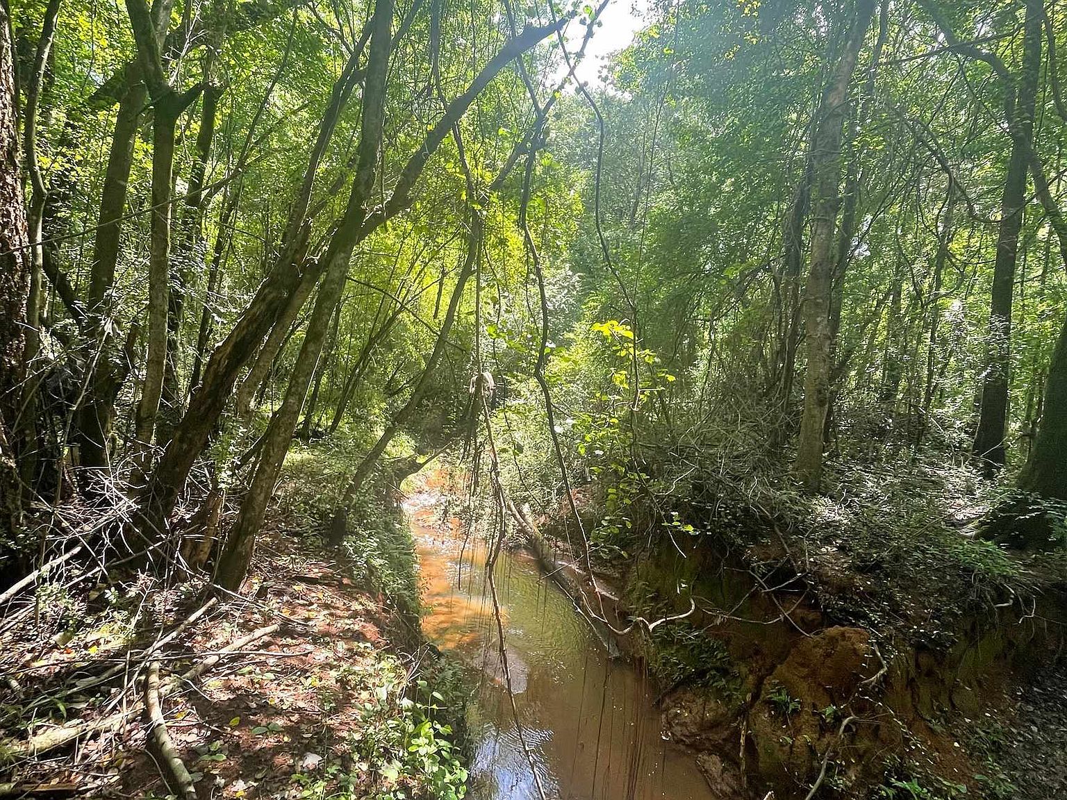 0 Logtown Rd, Yatesville, GA 31097 | MLS #10319483 | Zillow