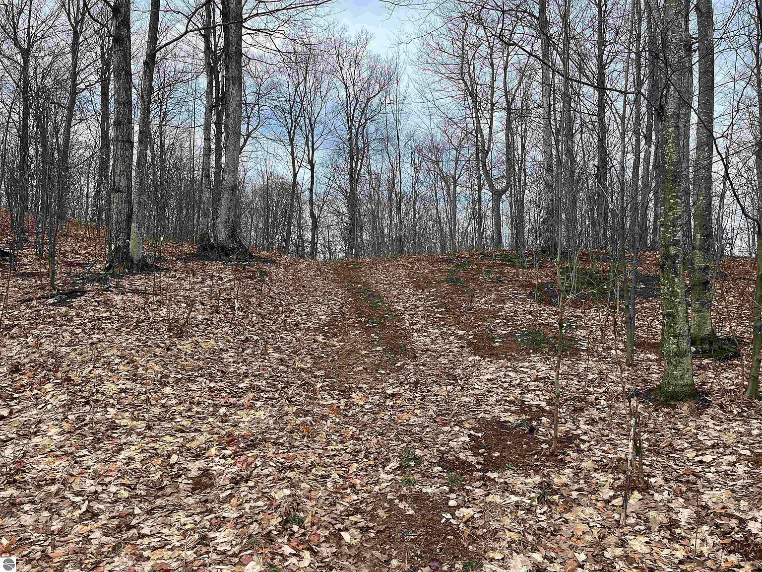 LOT 15 S Mistys Trl, Empire, MI 49630 | MLS #1930186 | Zillow