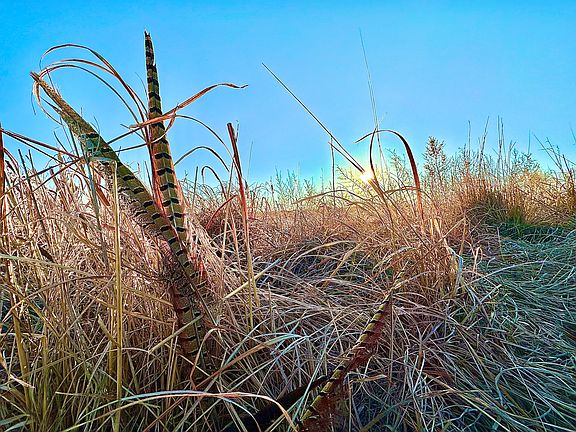 Stickney Rd LOT WP001, Russell, KS 67665 | Zillow