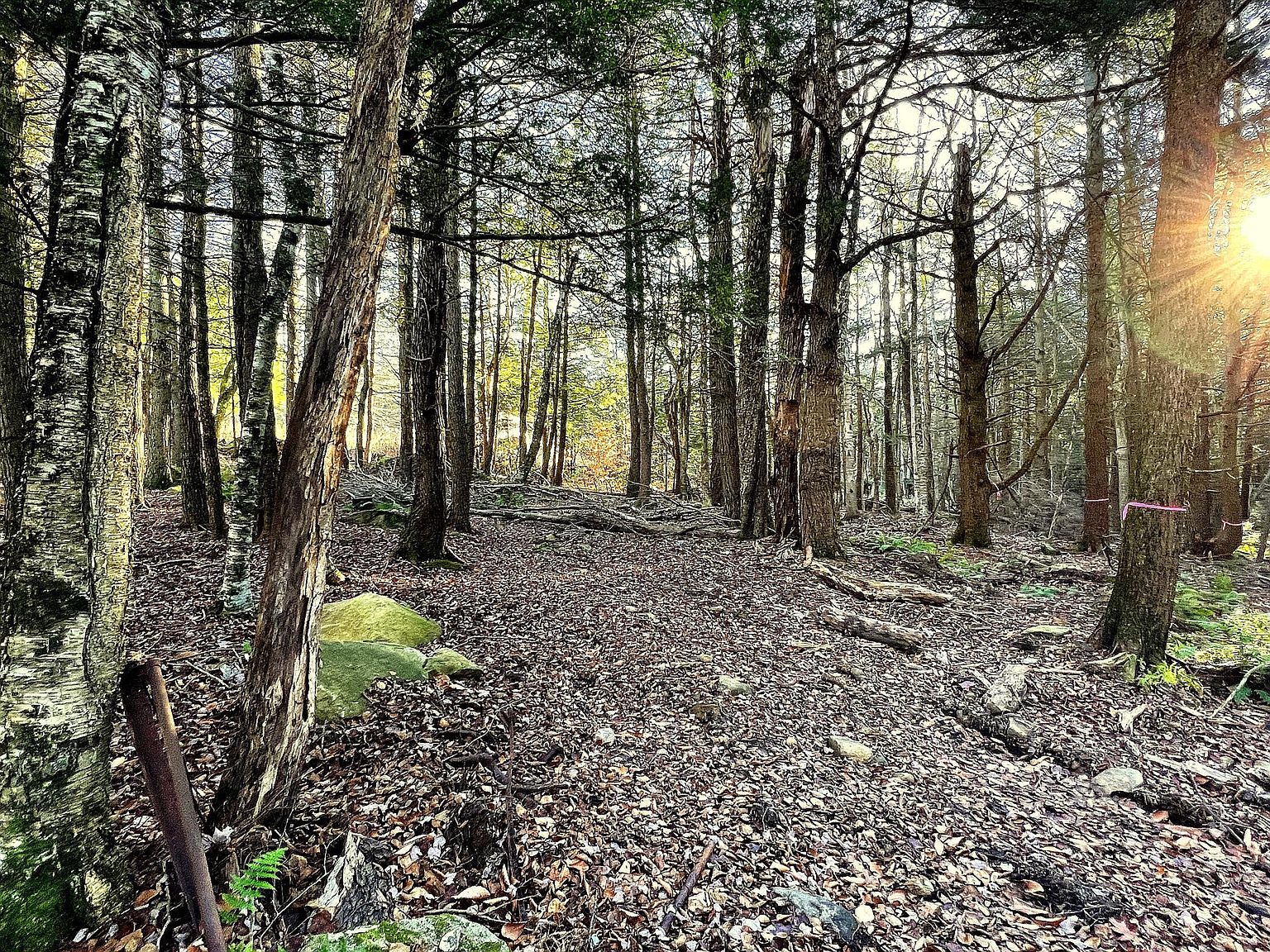 10 Bonny Rigg Hill Rd, Becket, MA 01223 | Zillow