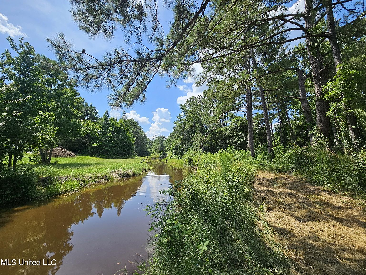 14 Jolly Roger Point, Carriere, MS 39426 | MLS #4117873 | Zillow