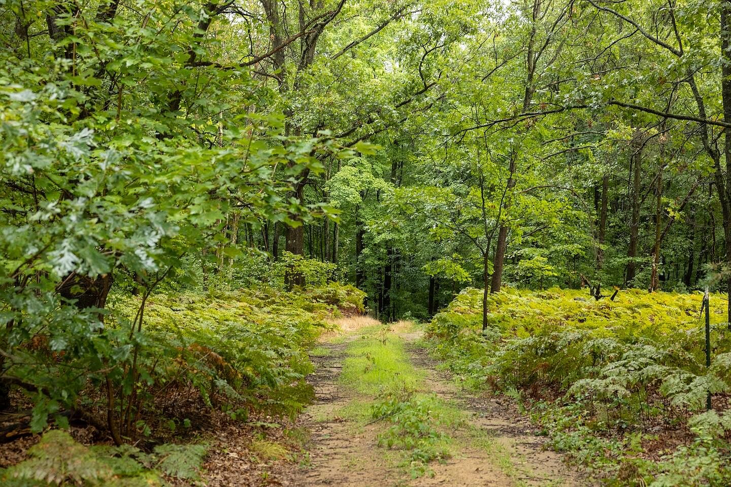 00-V/L S Wolf Lake Rd, Fruitport, MI 49415 | MLS #24045343 | Zillow