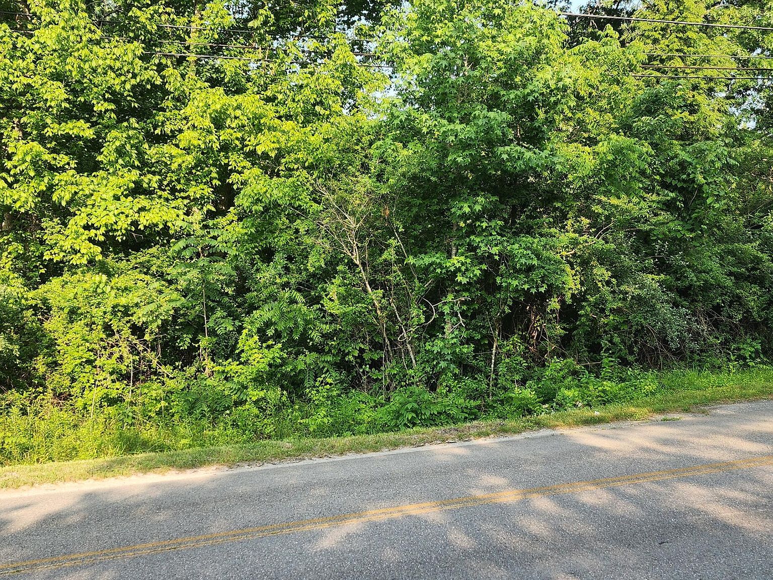 Glass House Rd, Helenwood, TN 37755 | Zillow