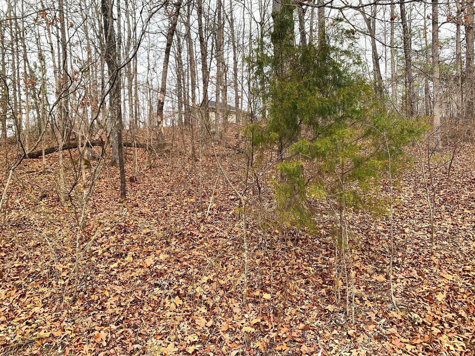 Springwood Dr, Selmer, TN 38375 | MLS #10166039 | Zillow