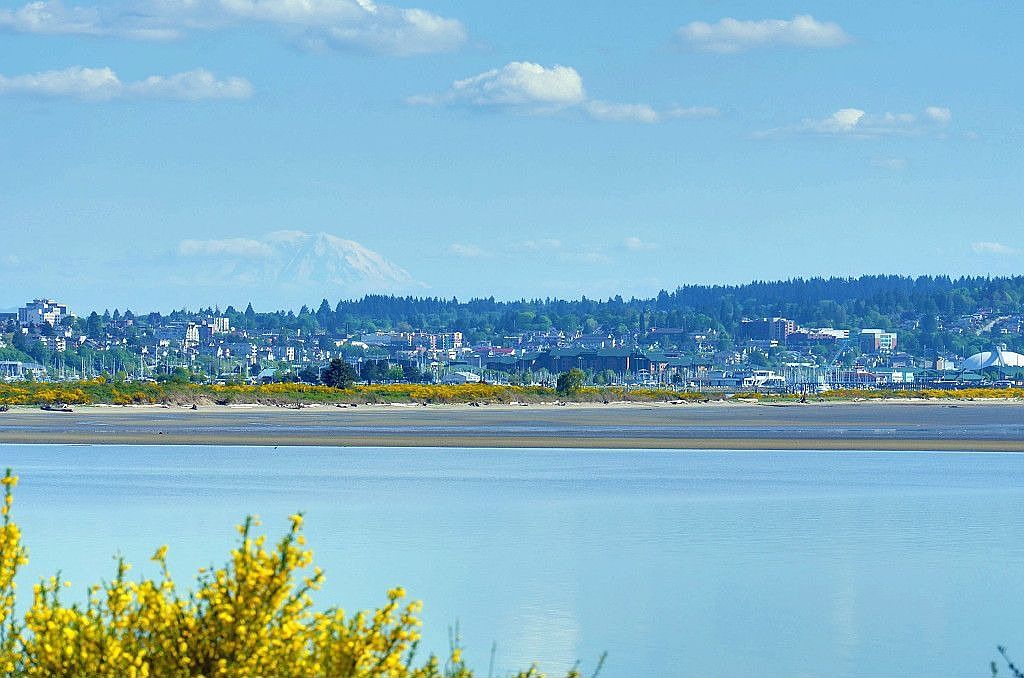 11 Priest Point Dr NE, Marysville, WA 98271 | Zillow