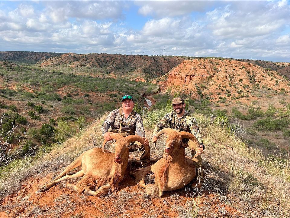 0 County Road 328, Rotan, TX 79546 | MLS #20854004 | Zillow