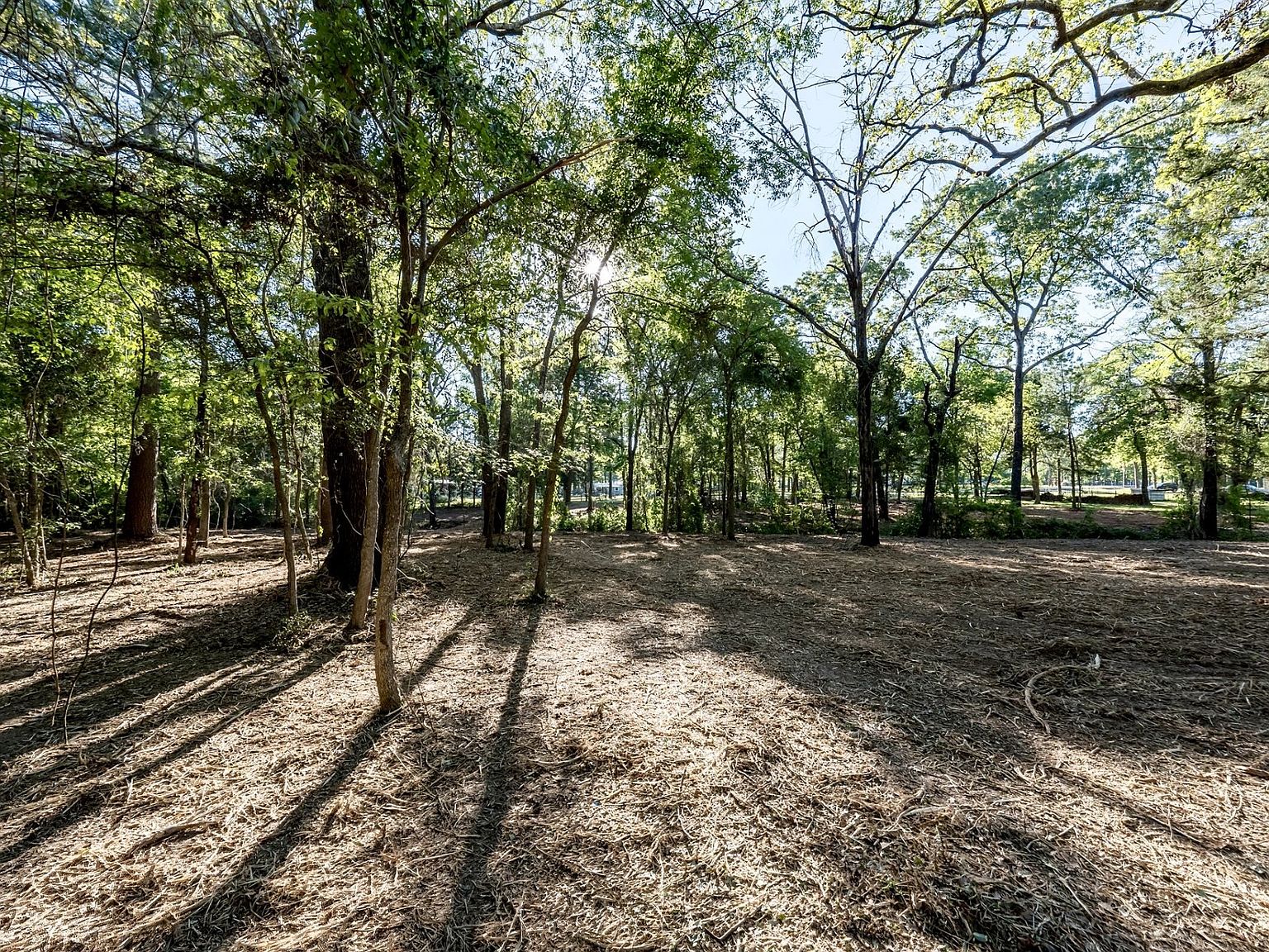 241 An County Rd #1371, Palestine, TX 75801 | Zillow