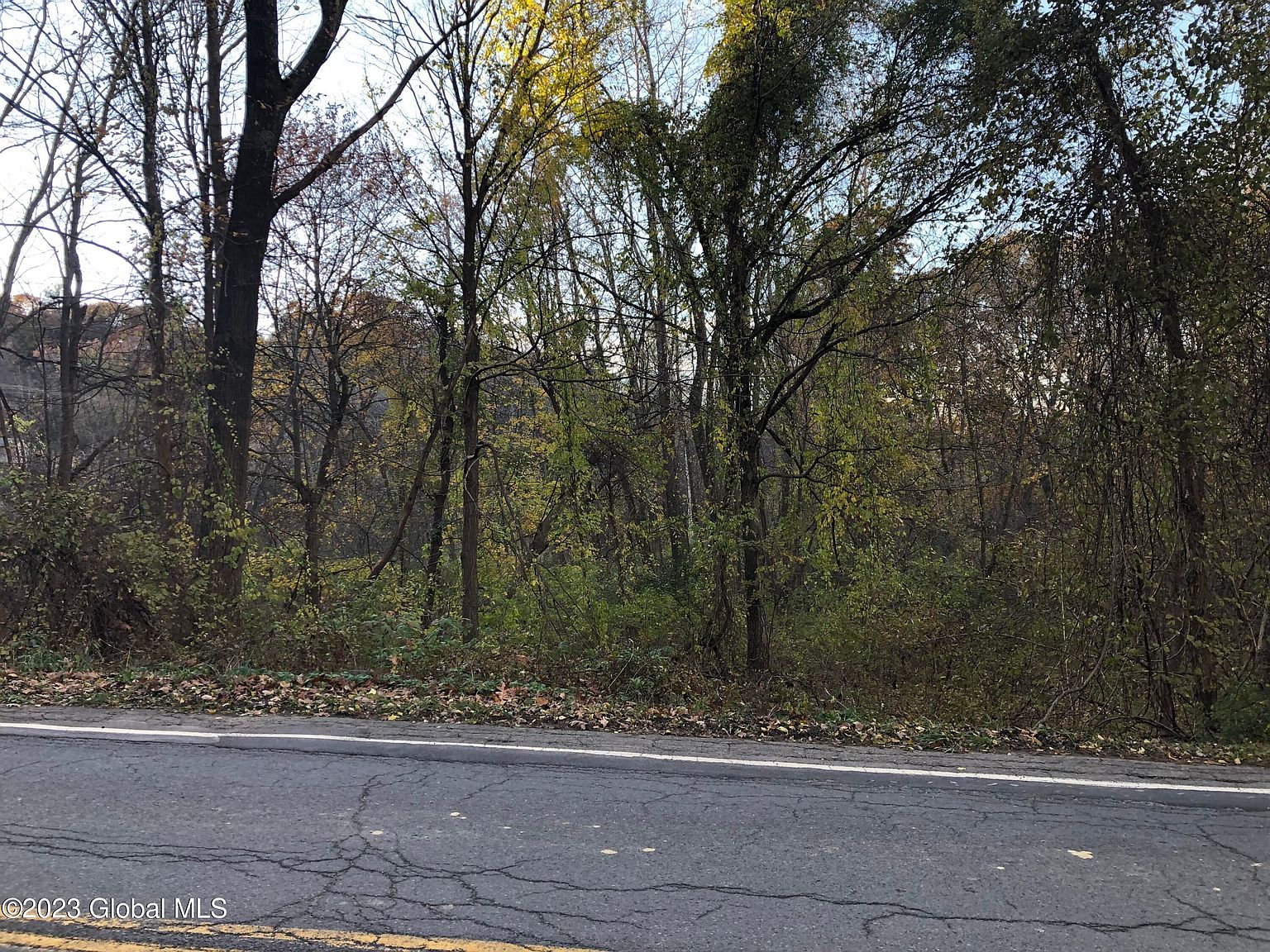 98 Pollock Road, Latham, NY 12110 | MLS #202329143 | Zillow