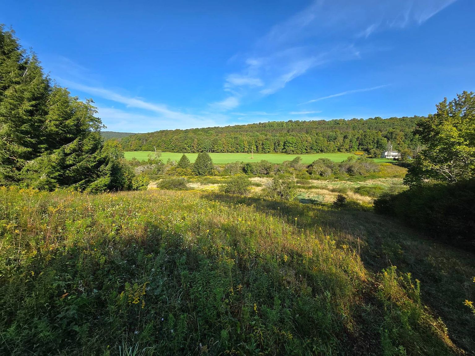 0WP Greenbush Rd, Worcester, NY 12197 | MLS #11340752 | Zillow