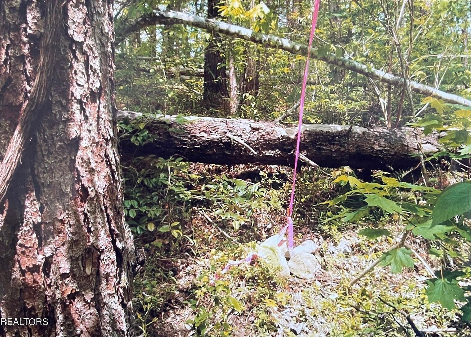 LOT 3 Old Cades Cove Rd, Townsend, TN 37882 | Zillow