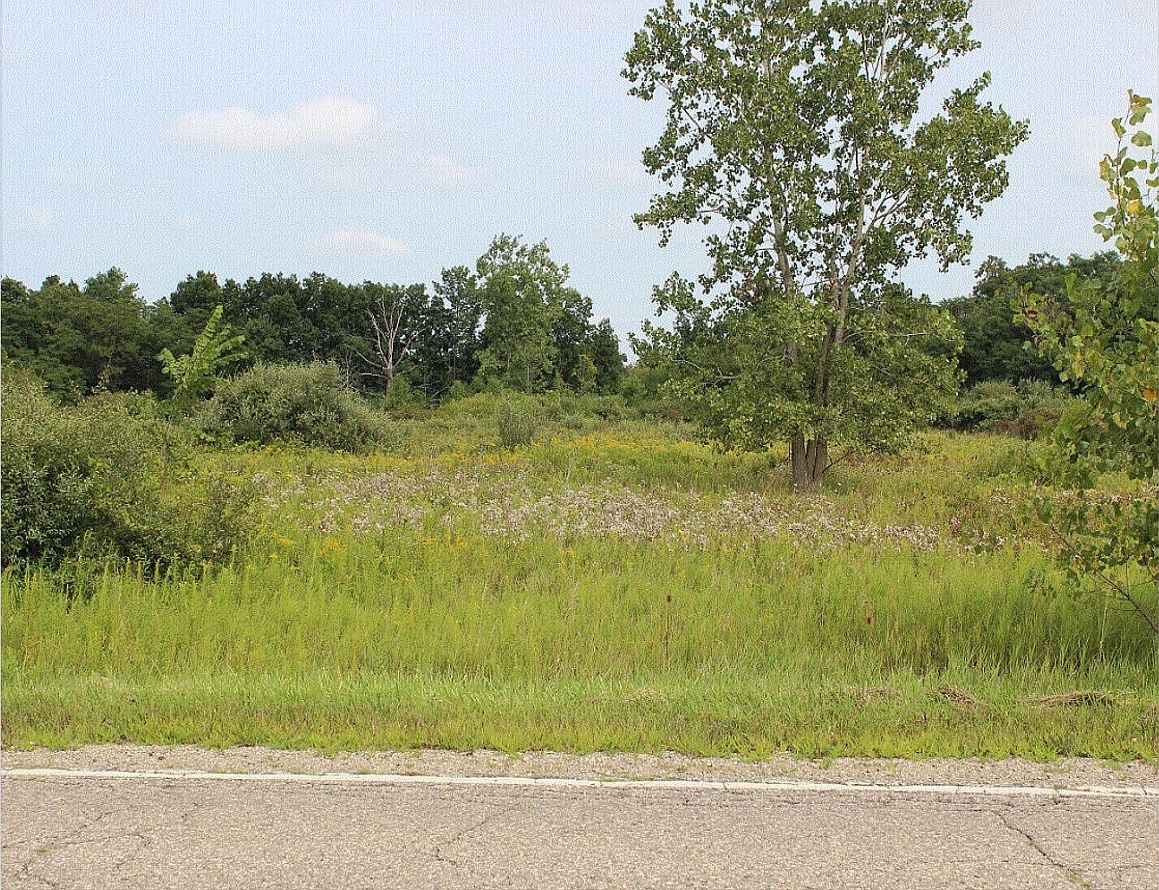 0 Brown City Rd, Goodland Twp, MI 48444 | MLS #20250019537 | Zillow