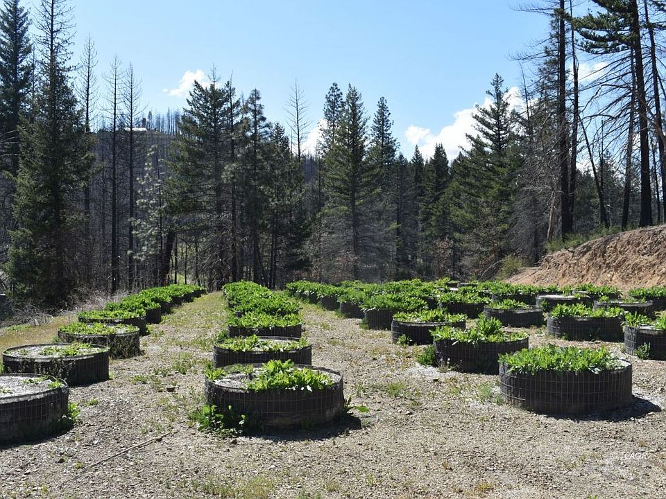 430 Trinity Pines Dr, Hayfork, CA 96041 | Zillow