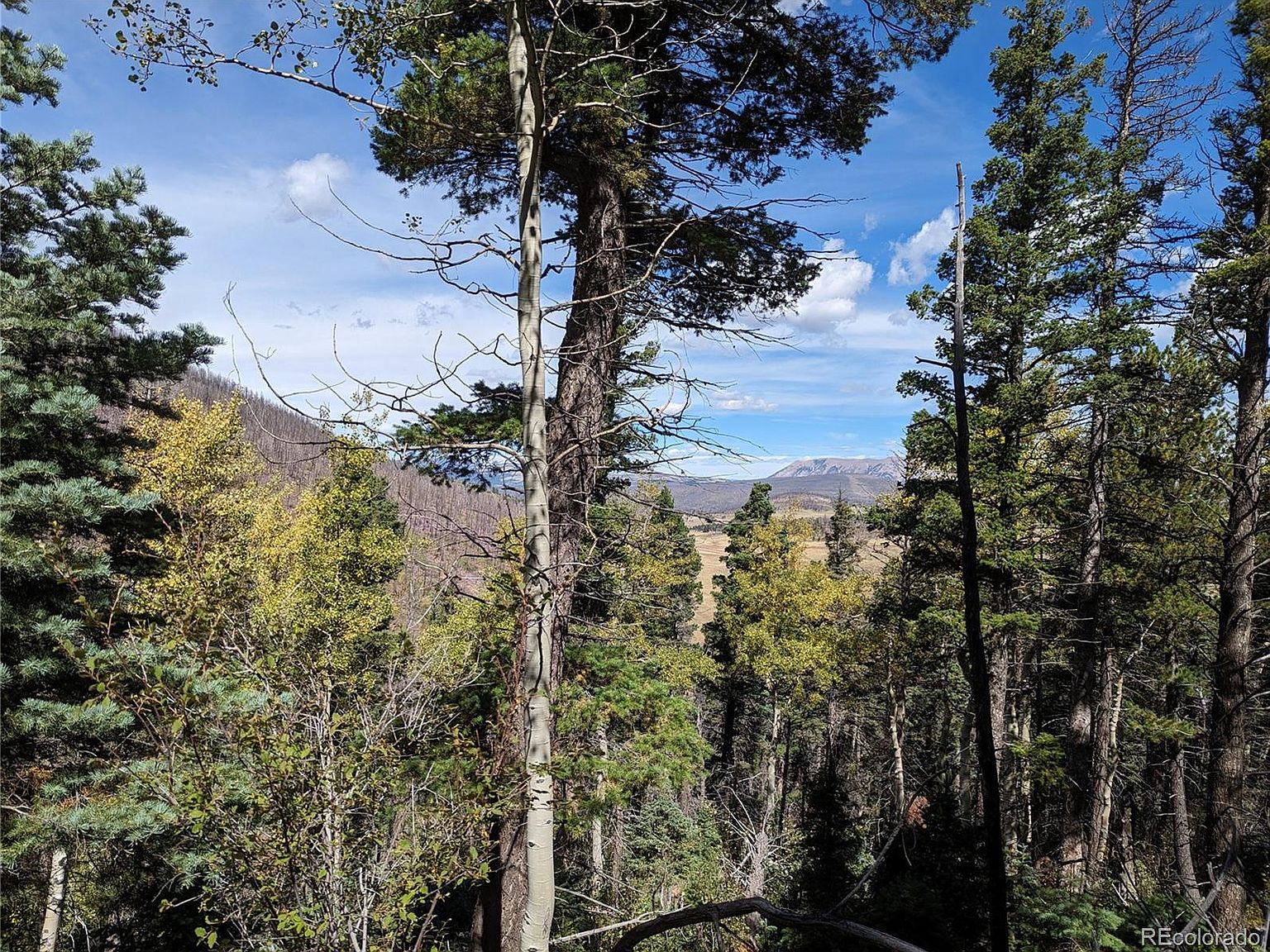 2376 Larry Place, Fort Garland, CO 81133 | Zillow