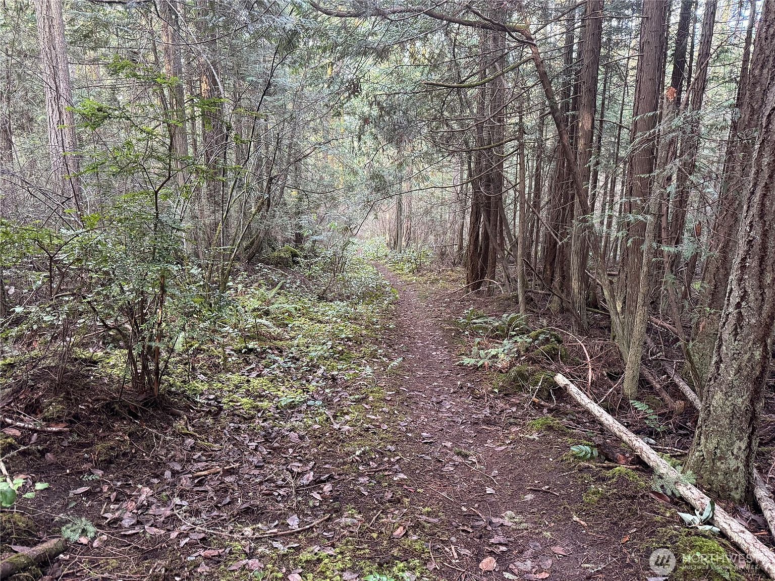 9999 NKA Mason Street, Pt Townsend, WA 98368 | MLS #2336580 | Zillow