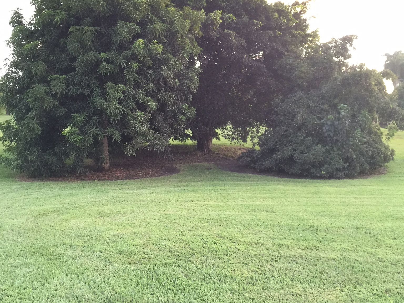 20321 SW 48th St, Southwest Ranches, FL 33332 | Zillow