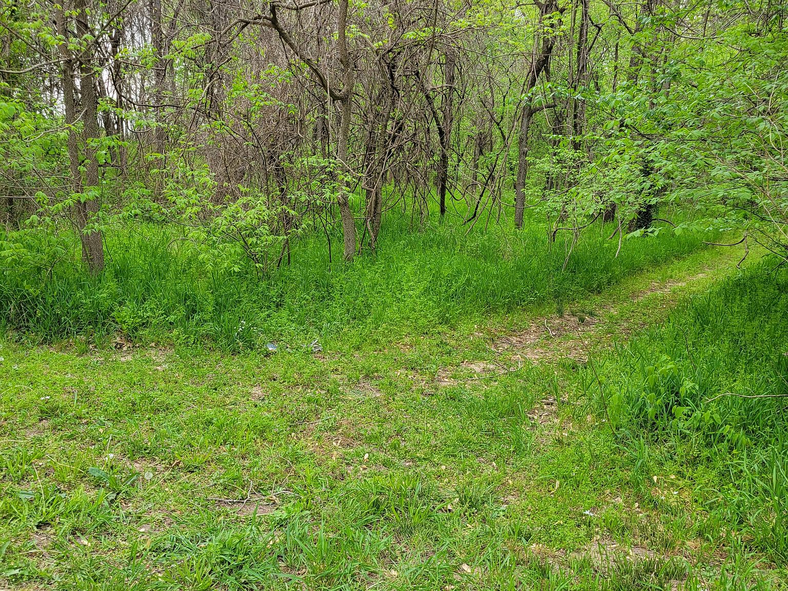 Poplar St, La Russell, MO 64848 | Zillow