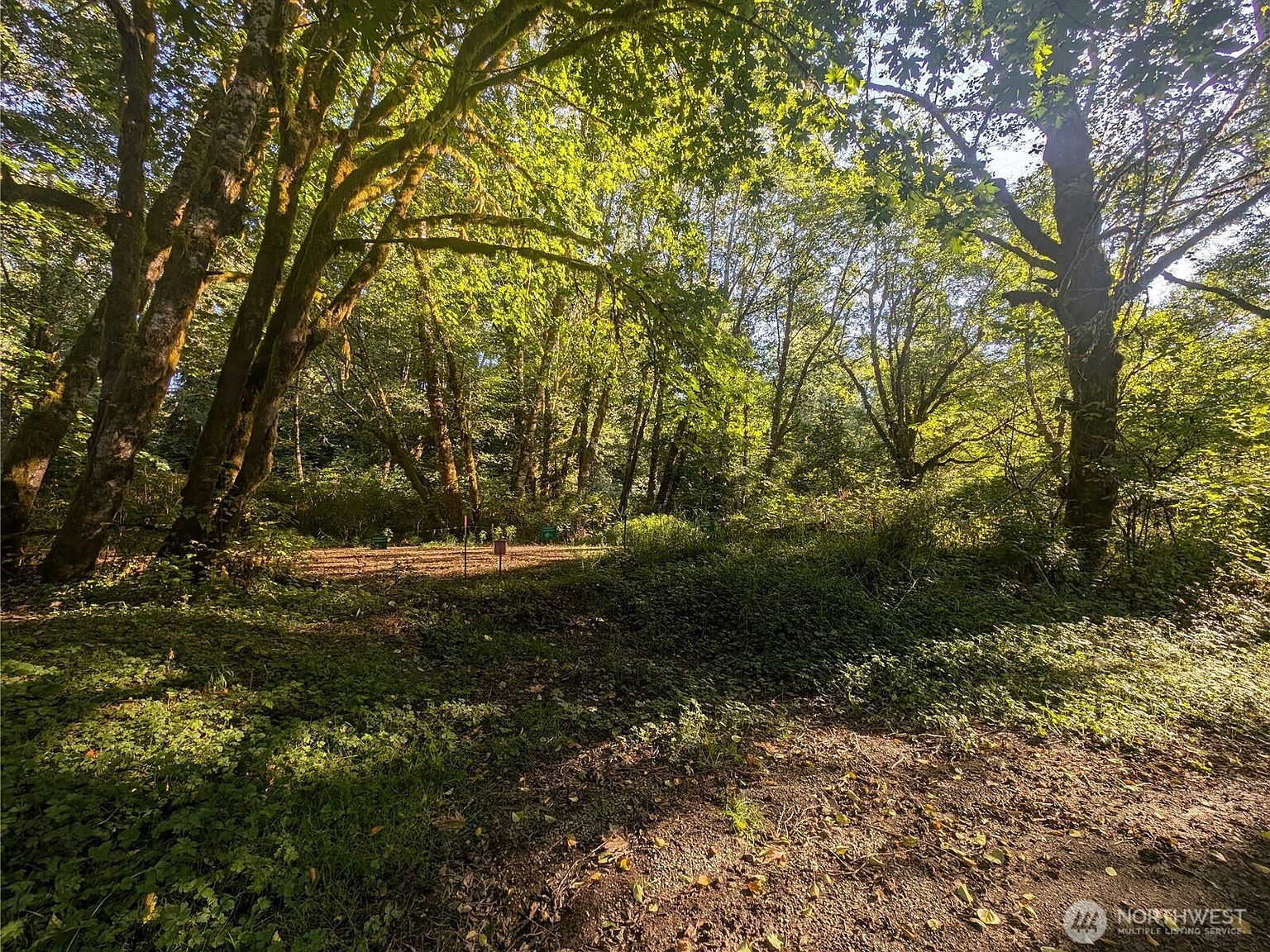 999 Whitcomb-Dimmel Road, Forks, WA 98331 | MLS #2427393 | Zillow