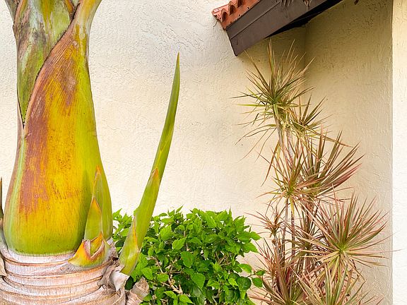 3365 Sandy Reef Ct, Melbourne Beach, FL 32951 | Zillow