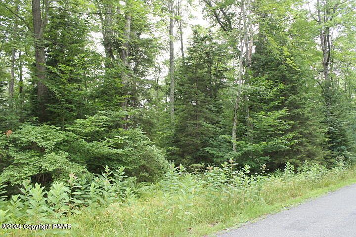 517 E Forest Rd, Pocono Lake, PA 18347 | MLS #PM-116935 | Zillow