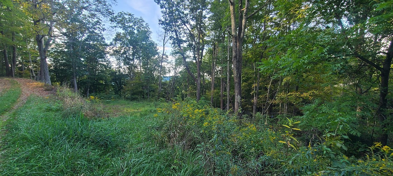 2400 Ellison Ridge Rd, Jumping Branch, WV 25969 | Zillow
