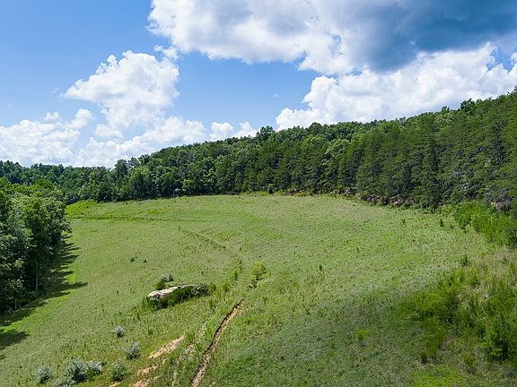 8942 Mooneyham Lonewood Rd, Spencer, TN 38585 | MLS #214674 | Zillow