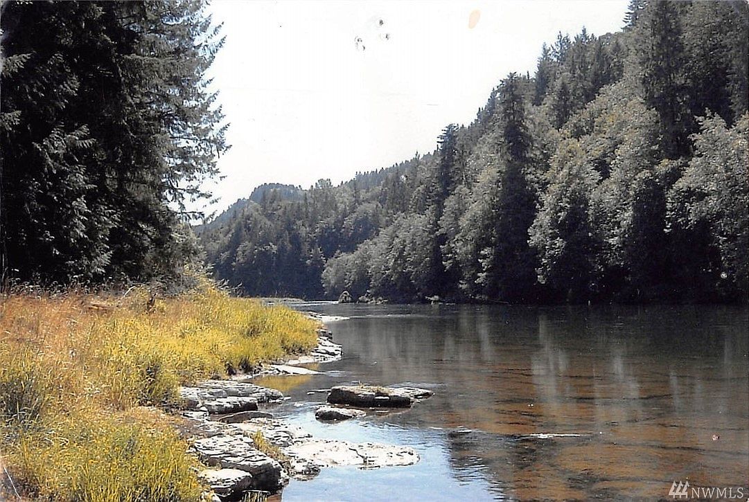 160 Ray Del Rd, Salkum, WA 98582 | Zillow